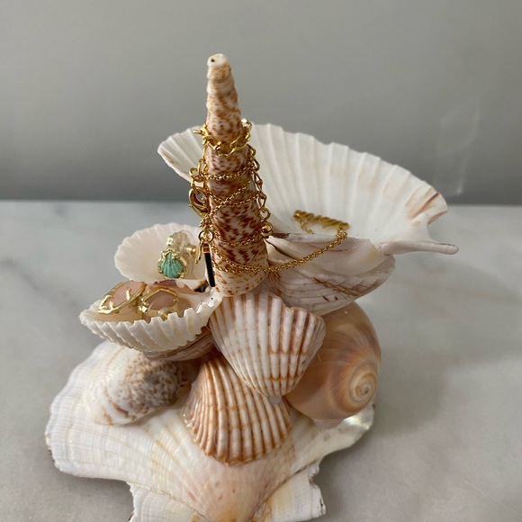 Storage & Organization | Seashell Jewelry Organizer Tower | Poshmark
